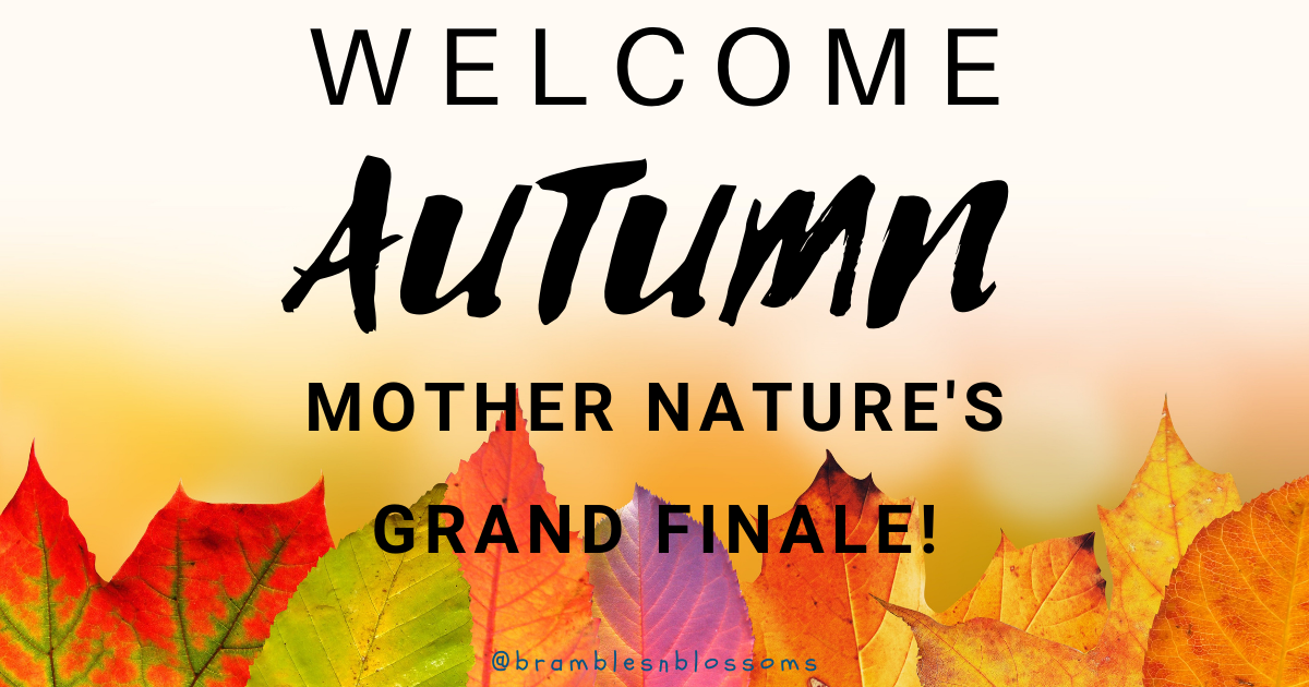 WELCOME AUTUMN | BEAUTIFUL FALL IMAGE - Bramble Avenue