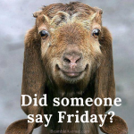 FUNNY FRIDAY GOAT MEME | FREE IMAGES | - Bramble Avenue
