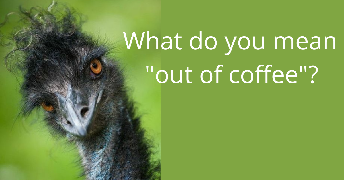OUT OF COFFEE MEME | FUNNY IMAGE - Bramble Avenue