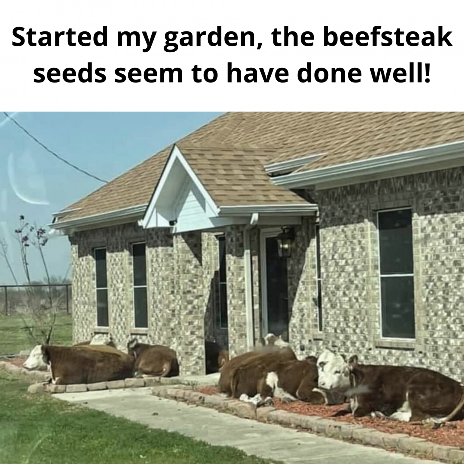 FUNNY GARDENING MEME | IMAGE | QUOTE - Bramble Avenue