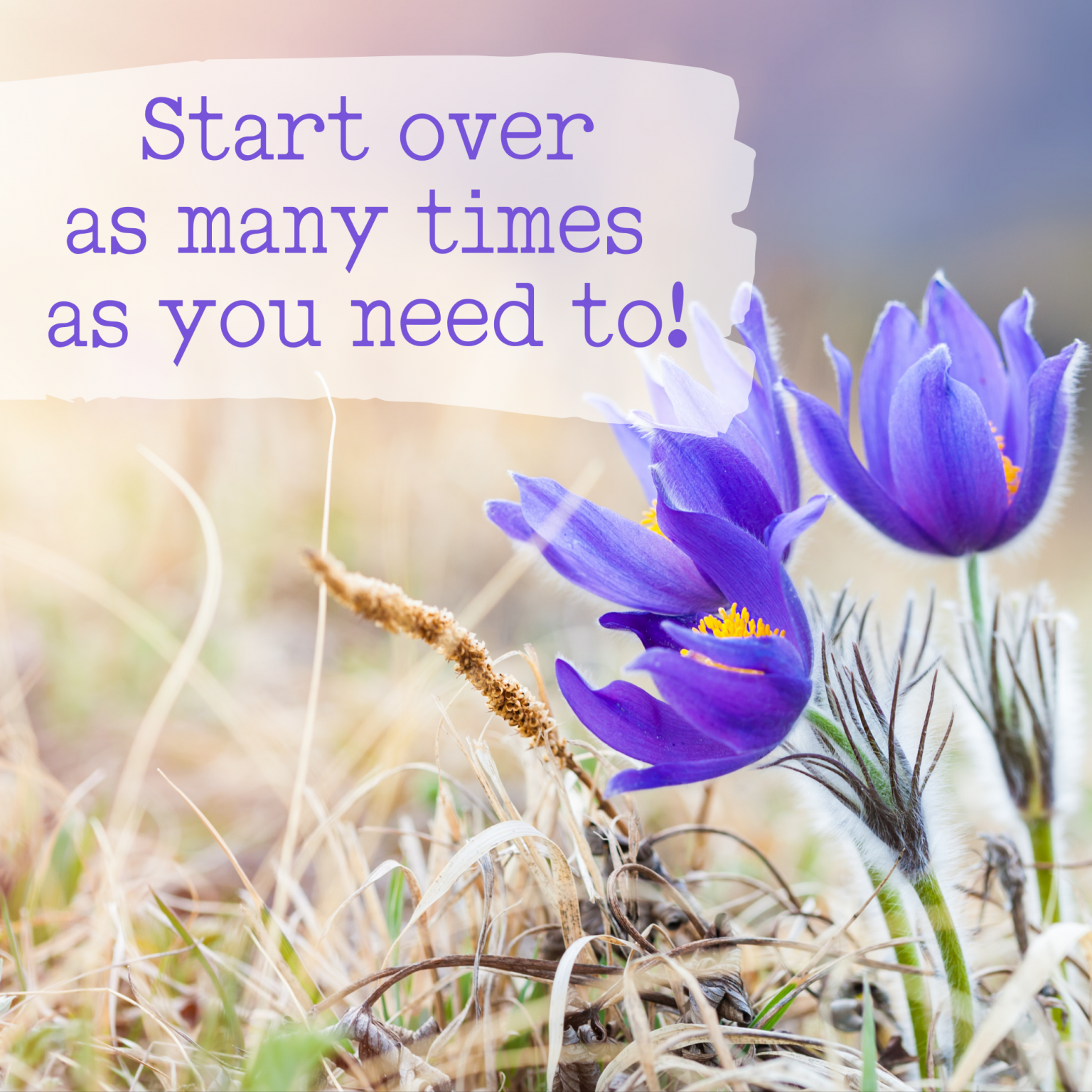 START OVER | IMAGE | QUOTE - Bramble Avenue
