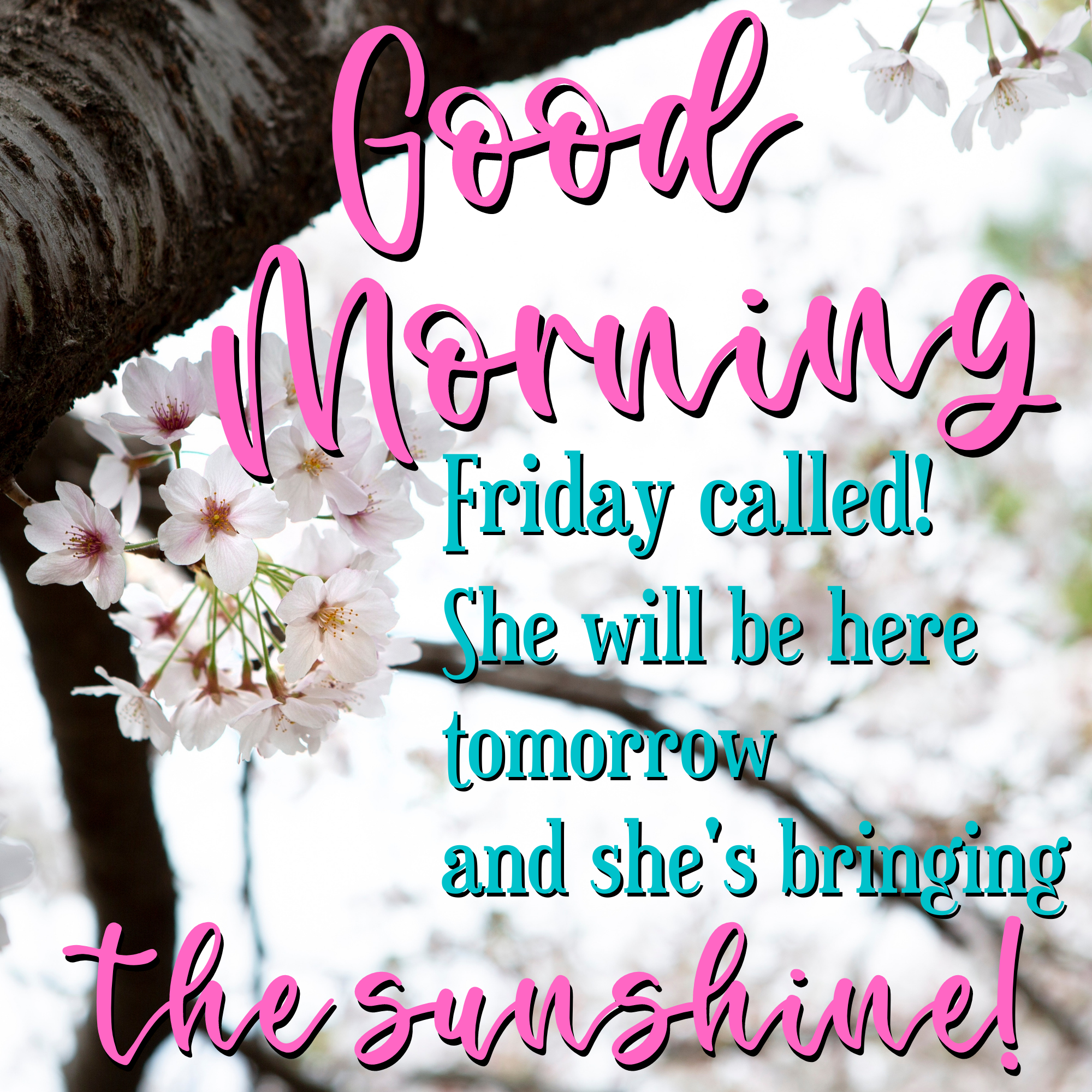 BEAUTIFUL THURSDAY MORNING FREE IMAGE | - Bramble Avenue